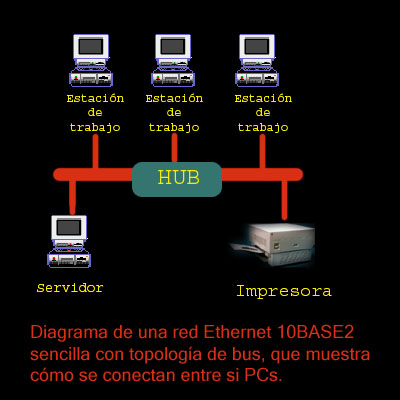 Diana Arredondo: red de computadoras