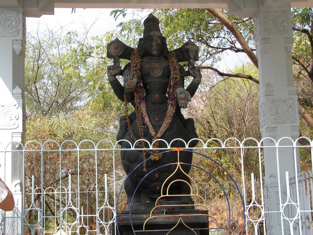 Indian Gods and Goddesses: Kurma Avatar Photos