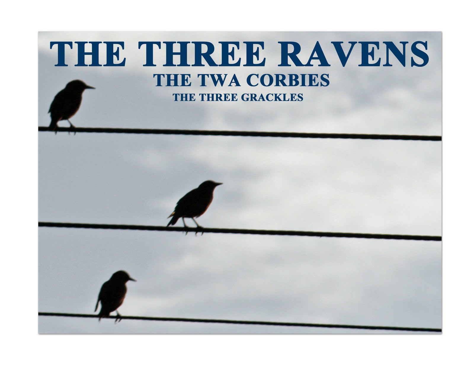 RIVERWALK THOUGHTS - THE BEAUTY OF NATURE: THE THREE RAVENS