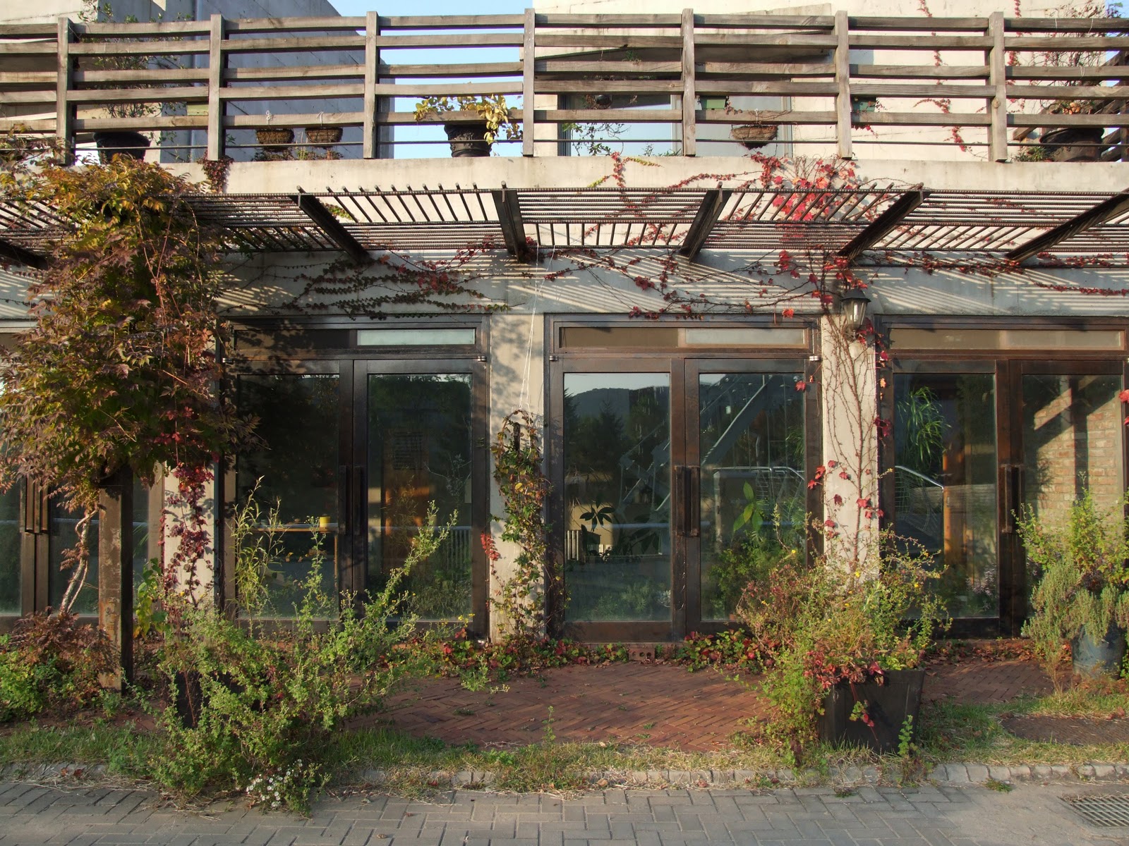 Overgrown Skyscraper