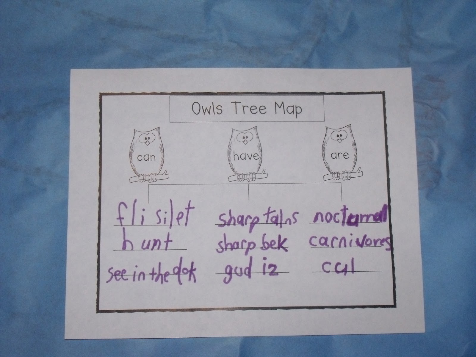 Fun with Owls! - Mrs. Jump's Class