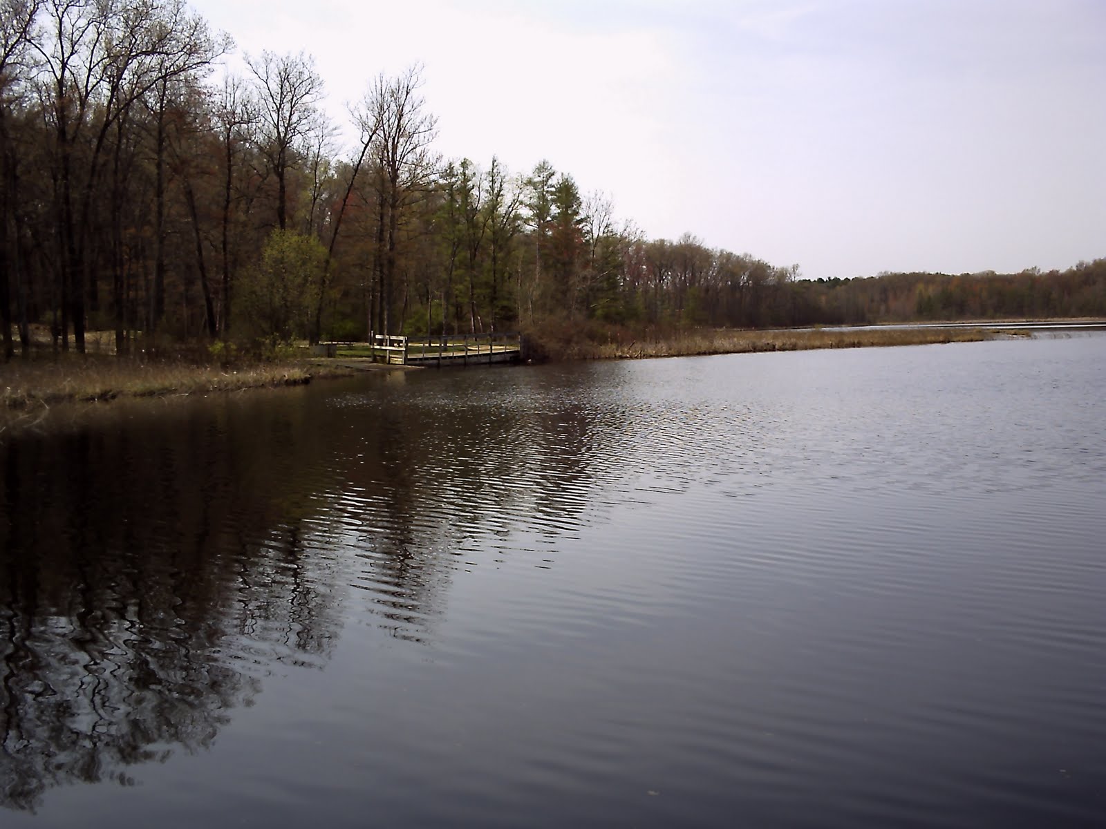 The Quest-Hiking the North Country Trail: Hall Lake