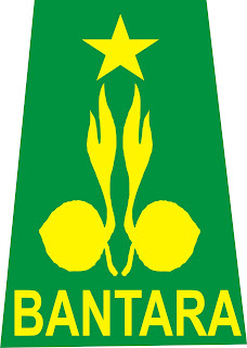 MEDICALSCOUT SBH NGAWI KOTA: TANDA KECAKAPAN UMUM