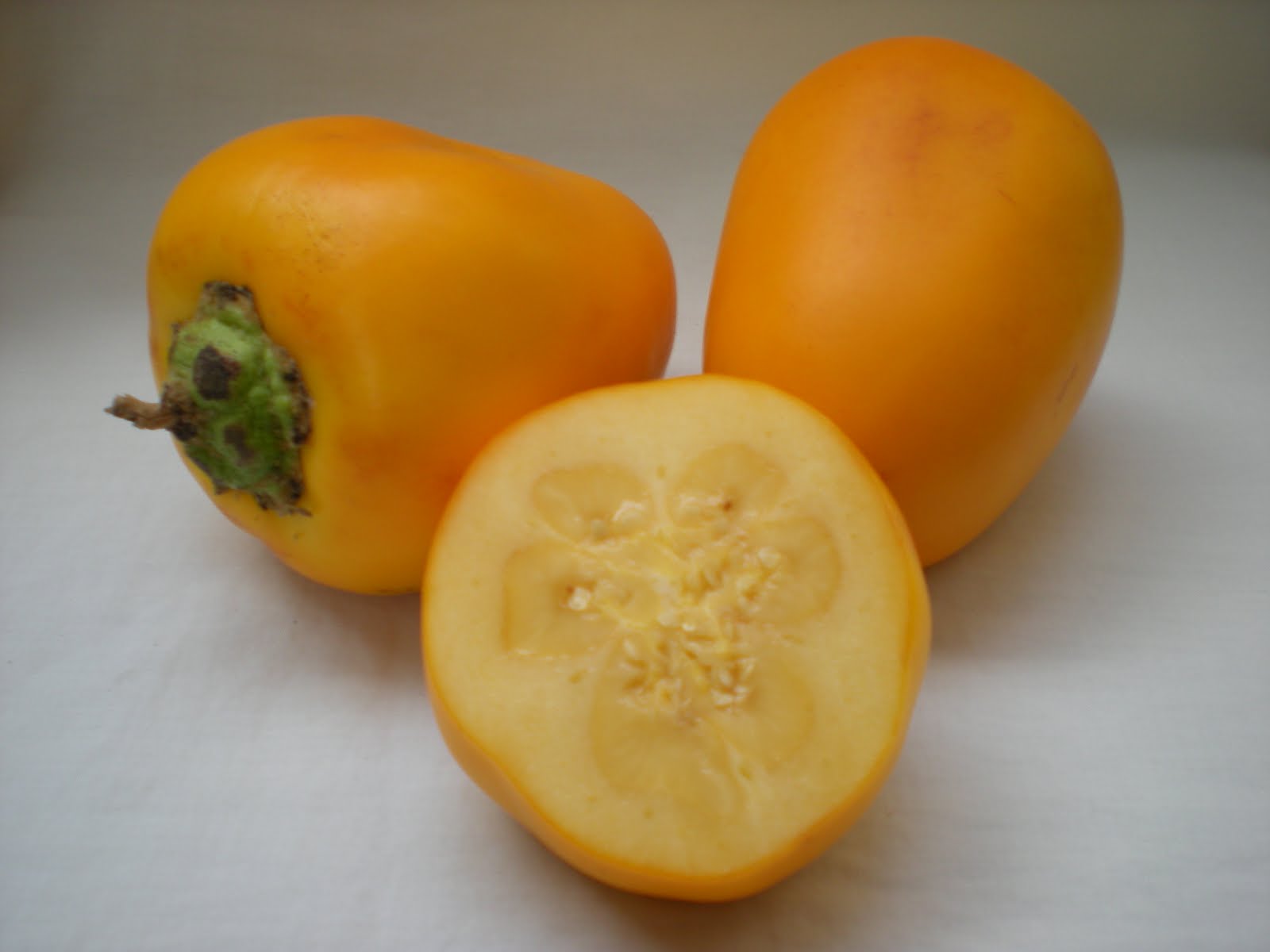 From my side of the dam | your relation to the dam is relative, let's ...