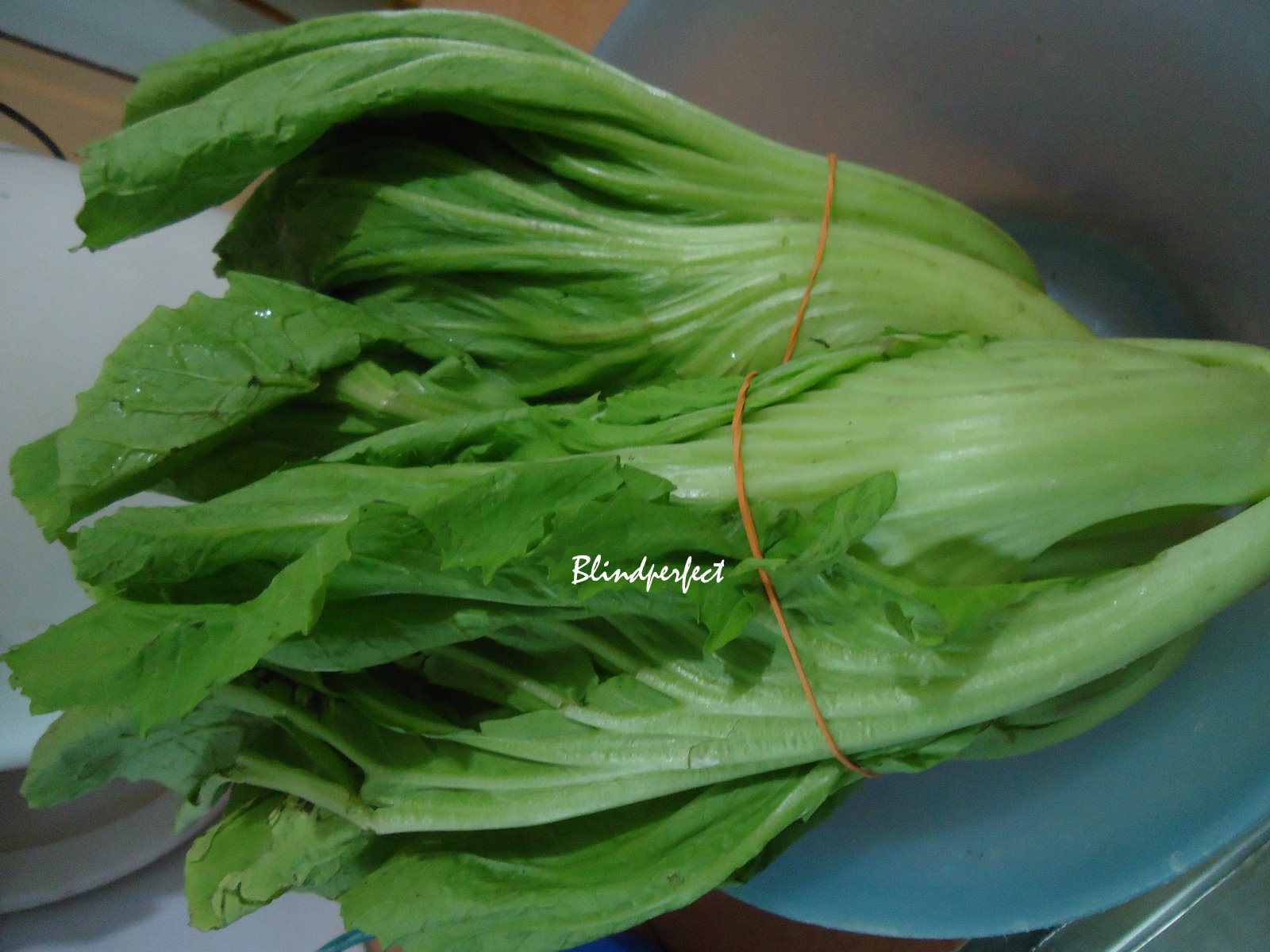 blindperfect: 369. Kai Choy