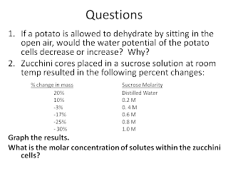 Sutton's AP Biology: Water Potential!