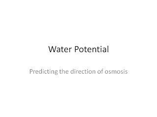 Sutton's AP Biology: Water Potential!