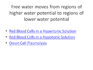Sutton's AP Biology: Water Potential!