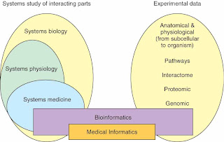 LEVELS OF ORGANIZATION – SPECIES AND POPULATION | Knowledge In ...