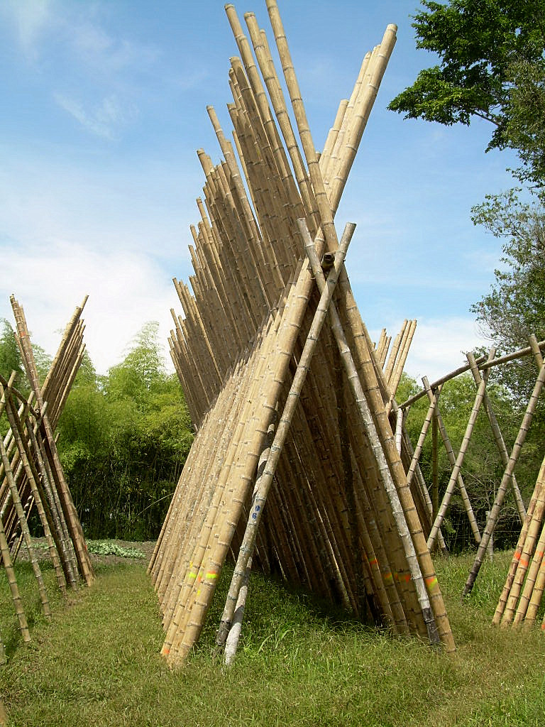 Guadua y Madera, diseño y construcción: Panorama forestal actual en ...