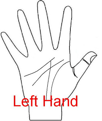 palmistry: Know your Future: WHy lines are different in two hands?
