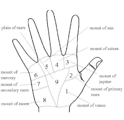palmistry: Know your Future: Secrets of happiness lie in the mounts of hand