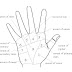 palmistry: Know your Future: Fate line arises from the mount of moon