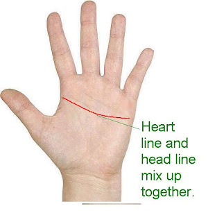 palmistry: Know your Future: Heart line and head line mixed up