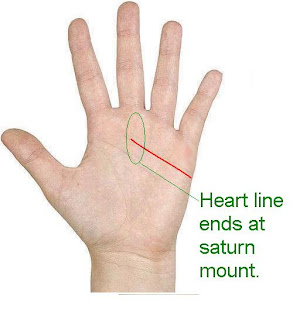 palmistry: Know your Future: heart line ends at the mount of saturn