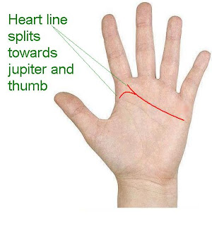 palmistry: Know your Future: Branches of heart line in jupiter and thumb