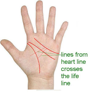 palmistry: Know your Future: A branch line of heart line touches the ...