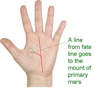 palmistry: Know your Future: A line from fate line goes to mars