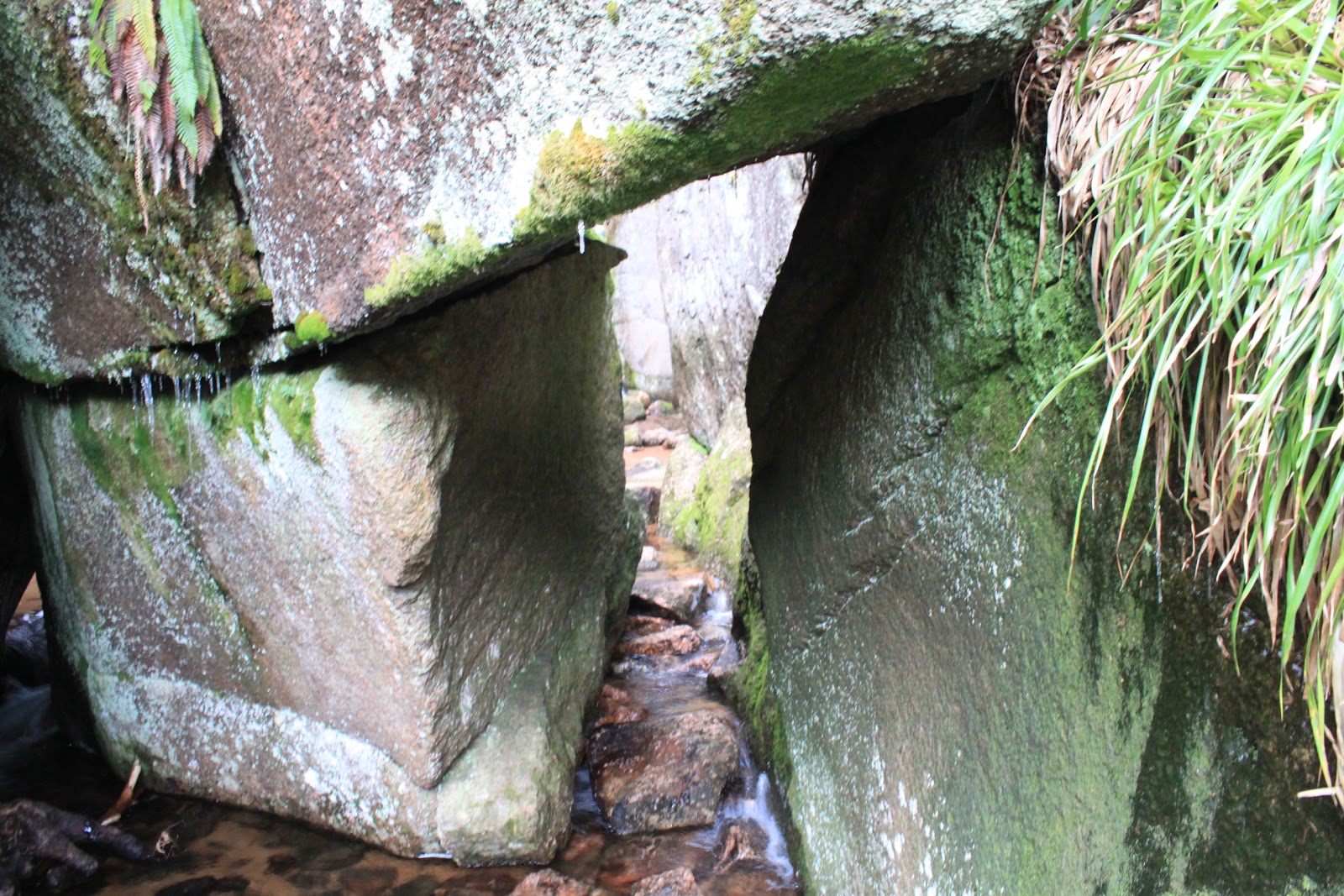 Walking in the North East of Scotland: Muir of Dinnet - Burn O' Vat ...
