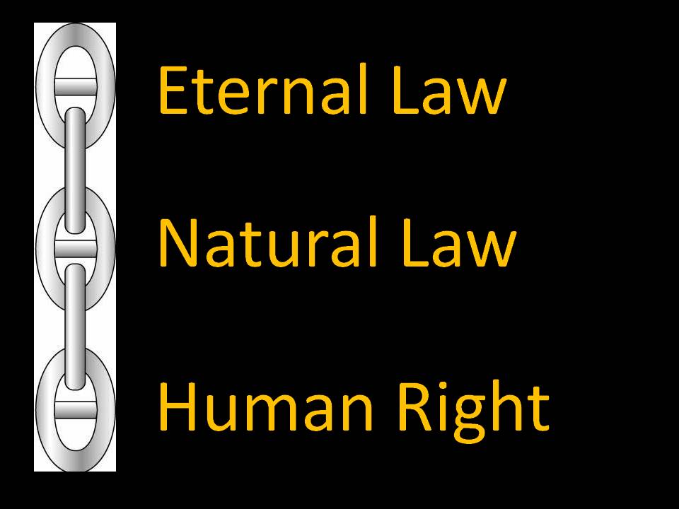 Lex Christianorum: Jacques Maritain and Natural Law: Natural Law and ...