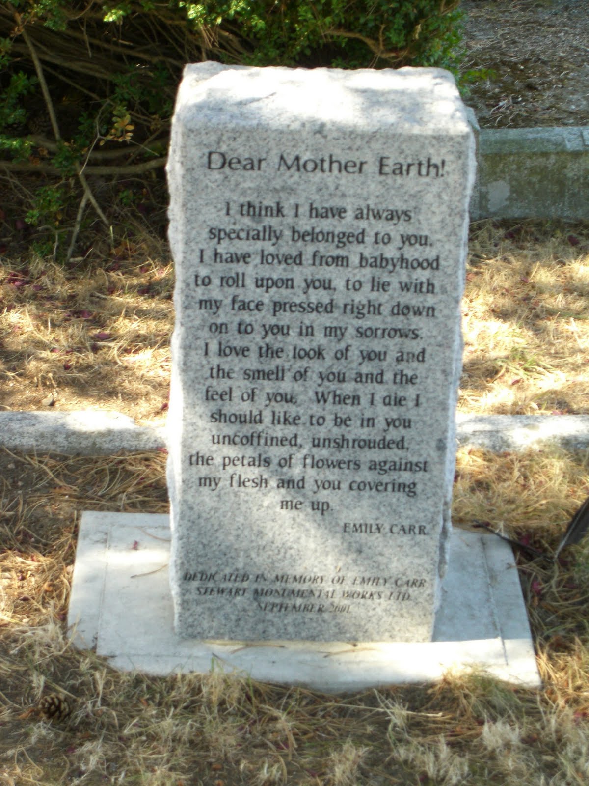 A Longhouse Birdhouse