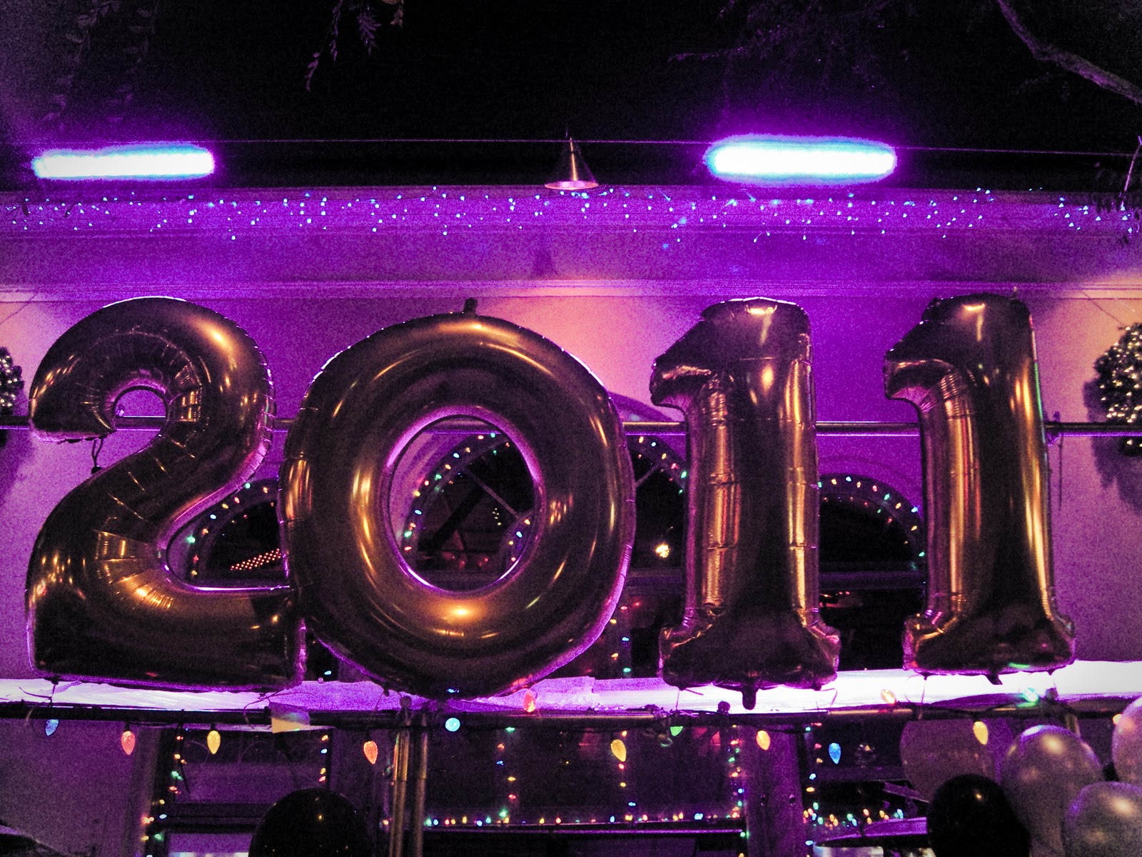 the two dog blog: FIREBALL, NEW YEAR'S EVE, WEST HOLLYWOOD : tom ...