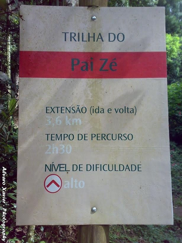 Alvaro Xavier: Trilha do Pai Zé - Parque Estadual do Jaraguá