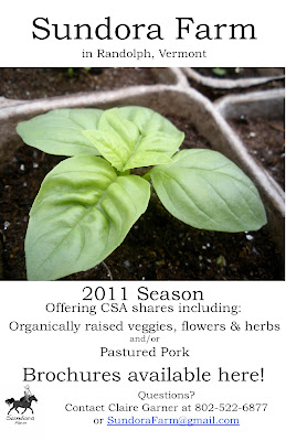 Sundora Farm: Posters!