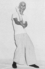 bjvingtsun: wingtsun Yip Man