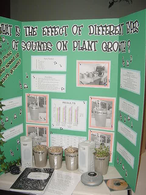 Welcome to the Room 7 Blog!: Science Fair