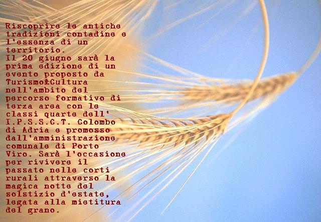 Il solstizio d'estate..una corte in festa: PINZA ONTA (focaccia con i ...