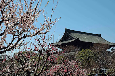 Vision Quest Imaging: Japan...