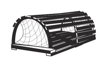 Nicki Fazio: Illustration & Design: Lobster Trap