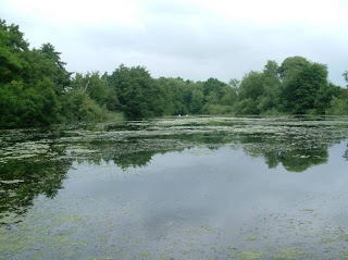 Just Fishing: Redmire Pool
