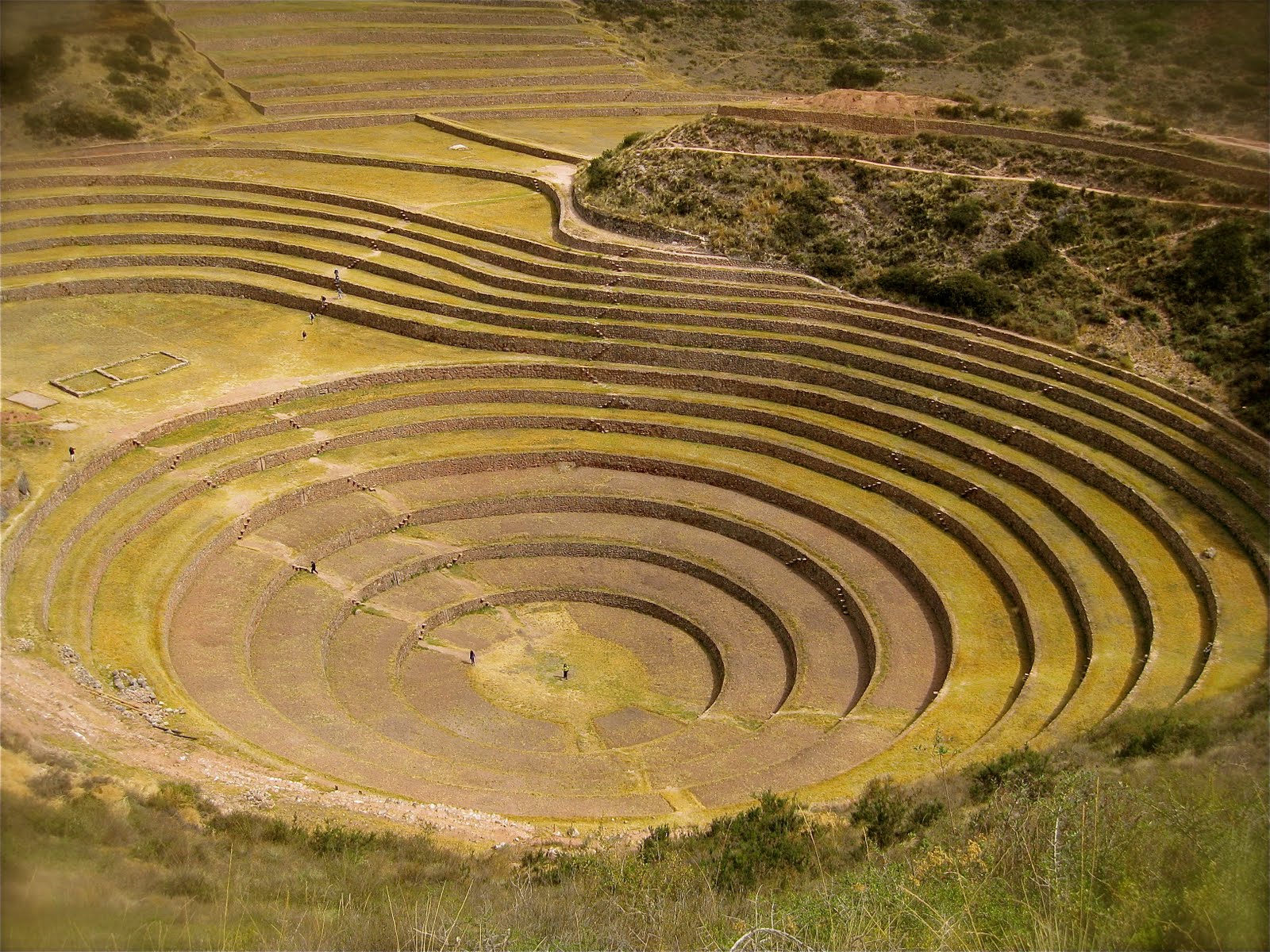 Inca Terrace