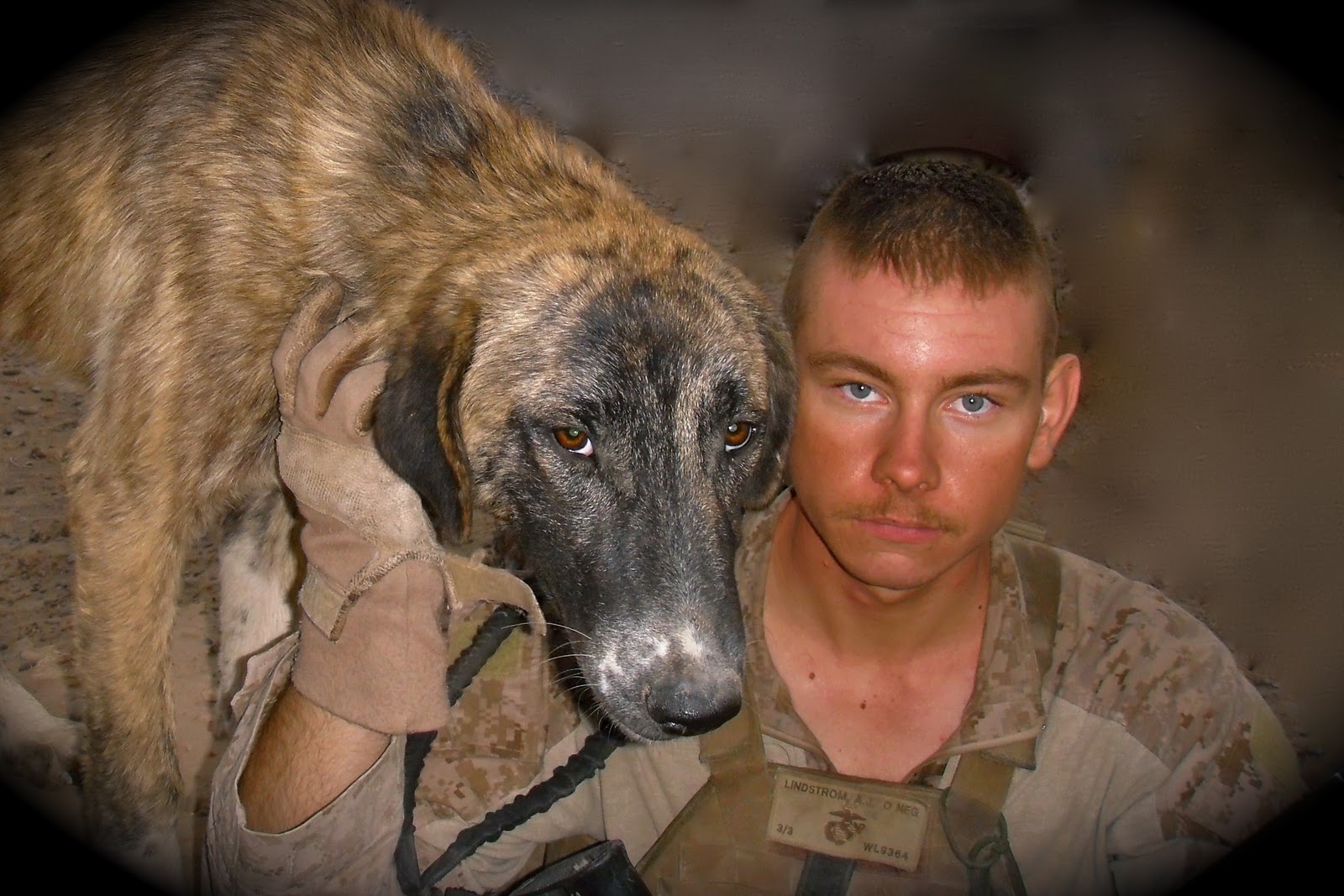 Saving Kujo: Rescuing a US Marine Platoon's Dog