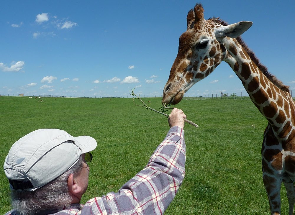 Another Side of this Life: Travels with Serge and Jeanne: Ohio Safari!