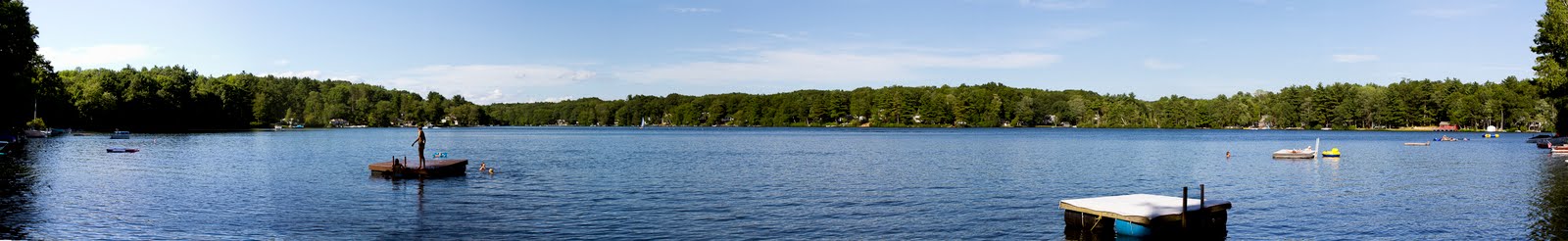Mr. Toad's (Wild) Ride: Little Alum Pond