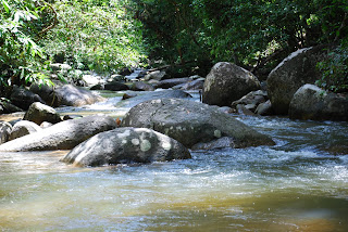 Abe's Lens: Hutan Lipur Ulu Licin, Beruas, Perak