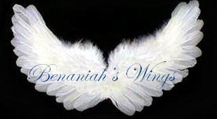 Benaniah's Wings: Free NICU Smock Pattern~Sewing~