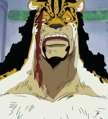 The Leopard Rob Lucci Face | Anime Fairy Blog