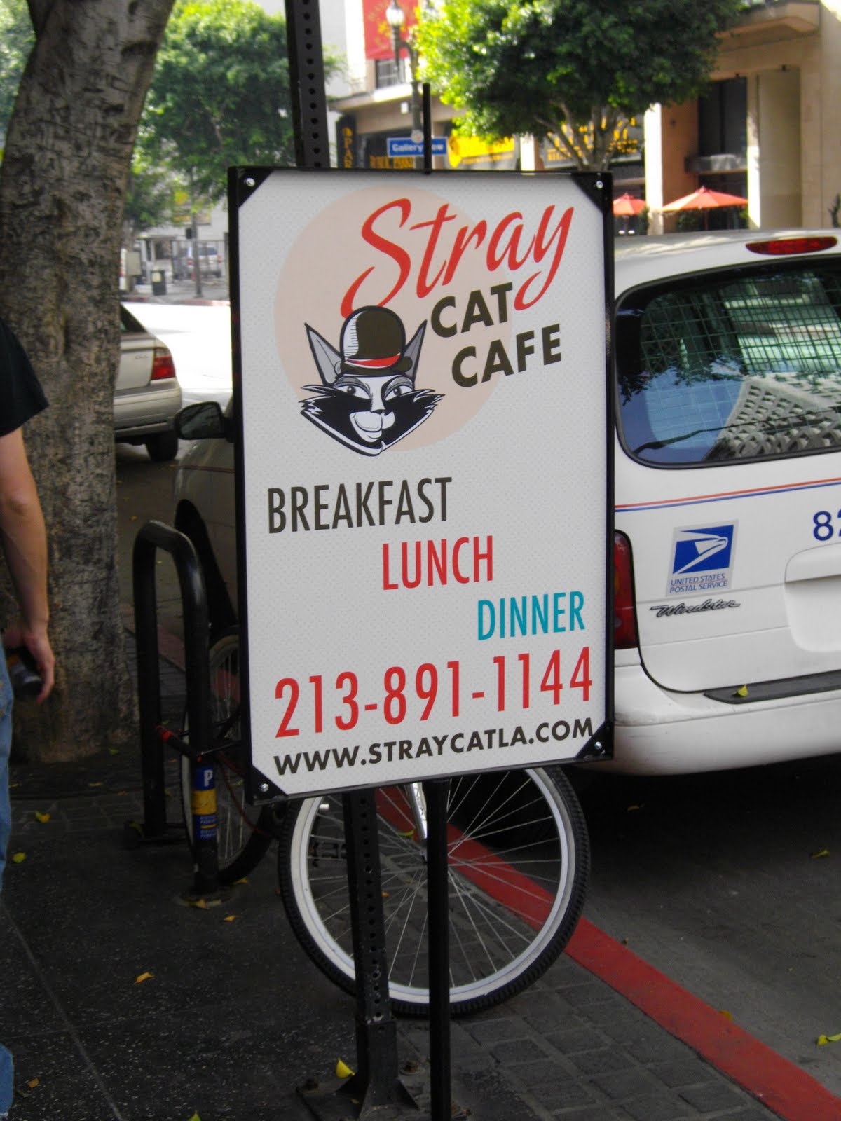 Dinerwood: Los Angeles Diner Reviews: Stray Cat Cafe--No Rush