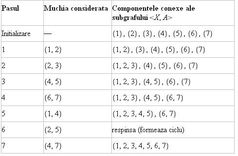 Informatica, Grafuri 11C