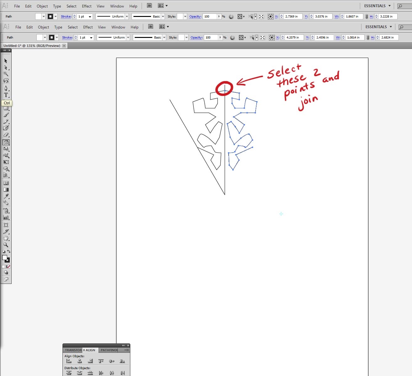 In Search of a 6 Sided Snowflake