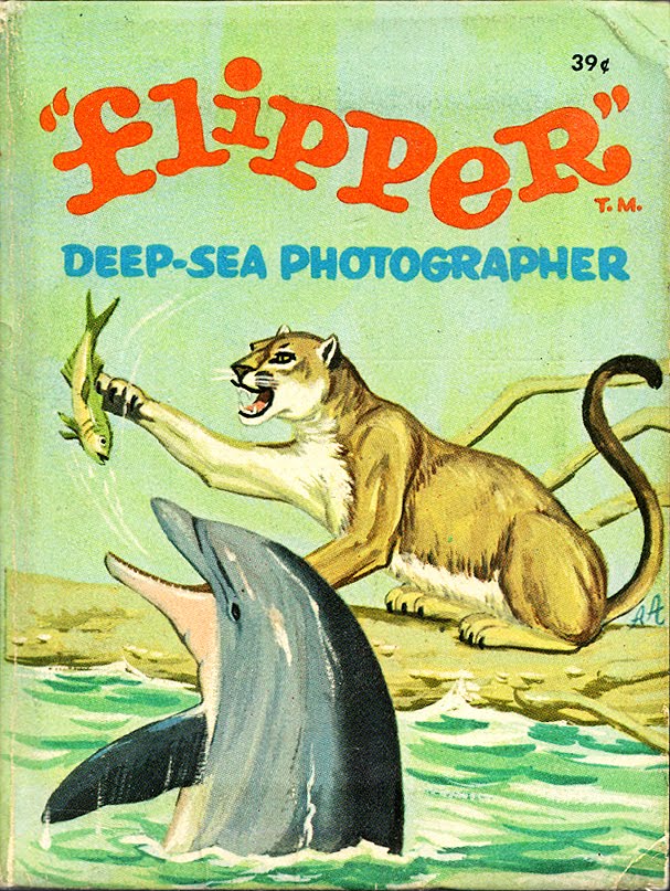 the flipper blog