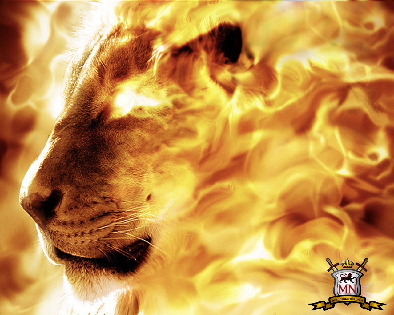 DEPOIMENTOS QUE EMOCIONAM: LEÃO DA TRIBO DE JUDÁ-O ESPÍRITO DE DEUS É ...