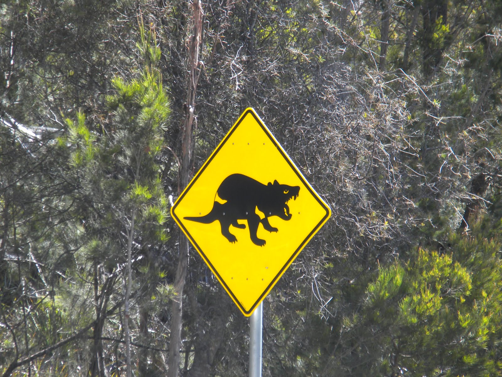 Dave and Lynne in New Zealand: Tasmania: best road sign ever