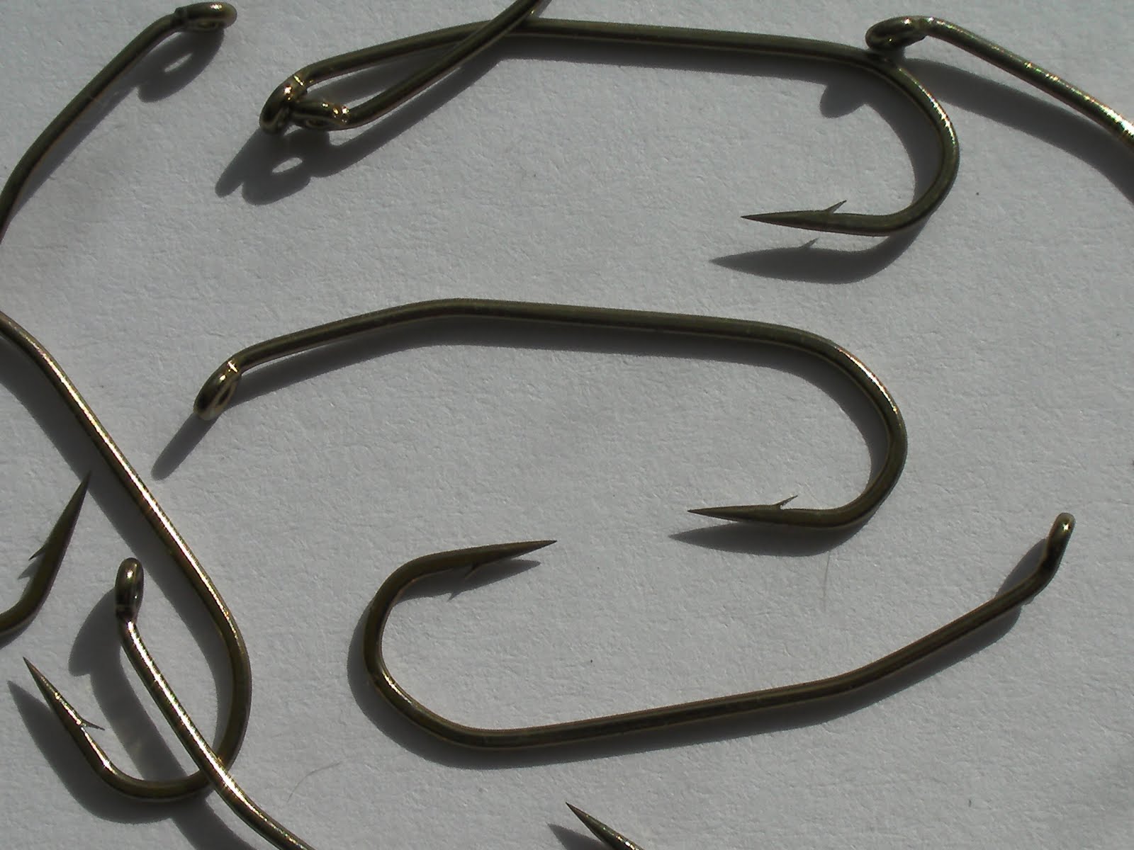 Fly Tying Videos: How to Tie Flies for Freshwater and Saltwater: How to ...