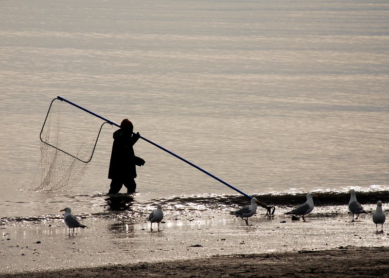 Alaska Massey: A little thing we call Dip Netting