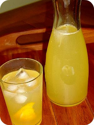 The life of a lemon - PaisleyJade